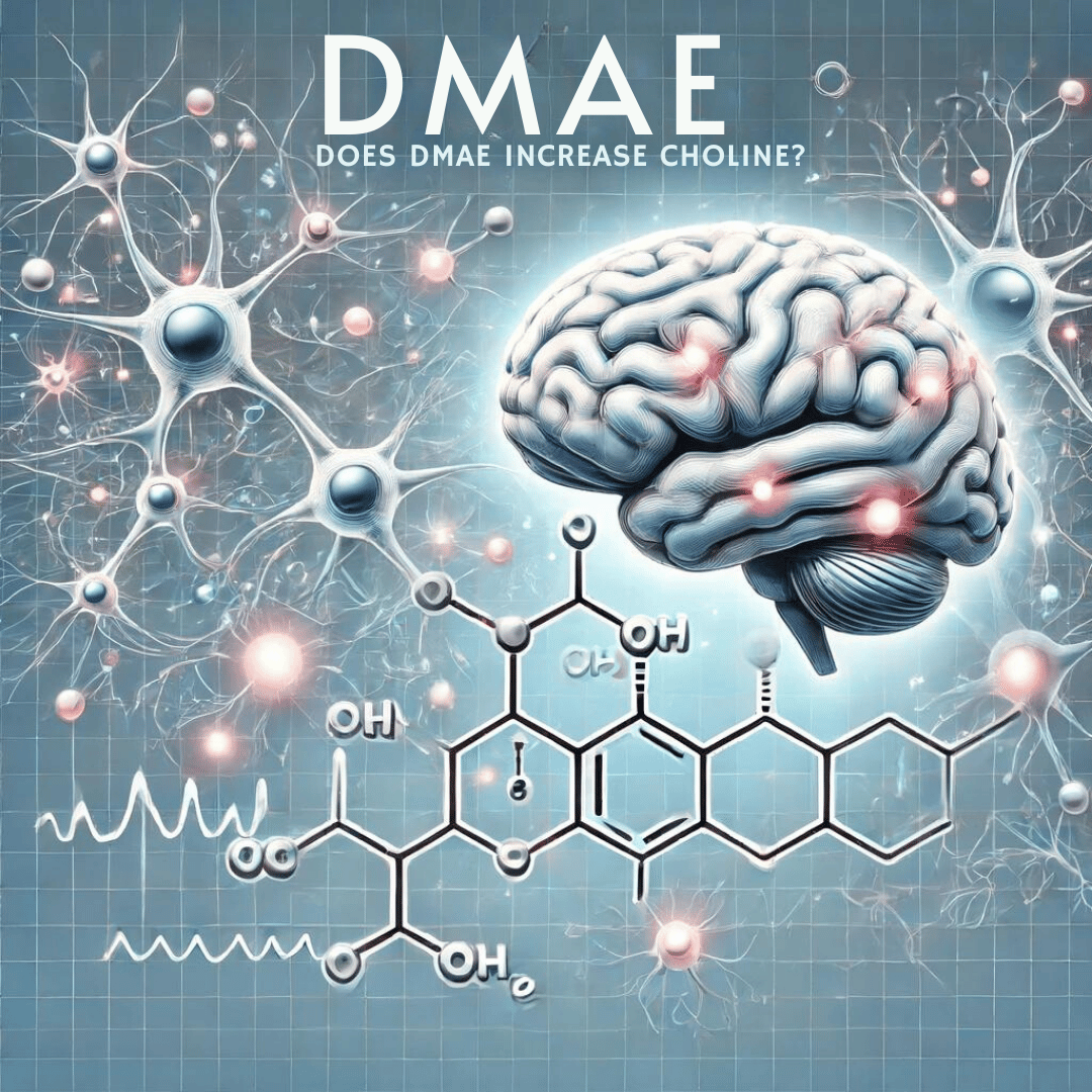 Does DMAE Increase Choline? The Surprising Truth Revealed
